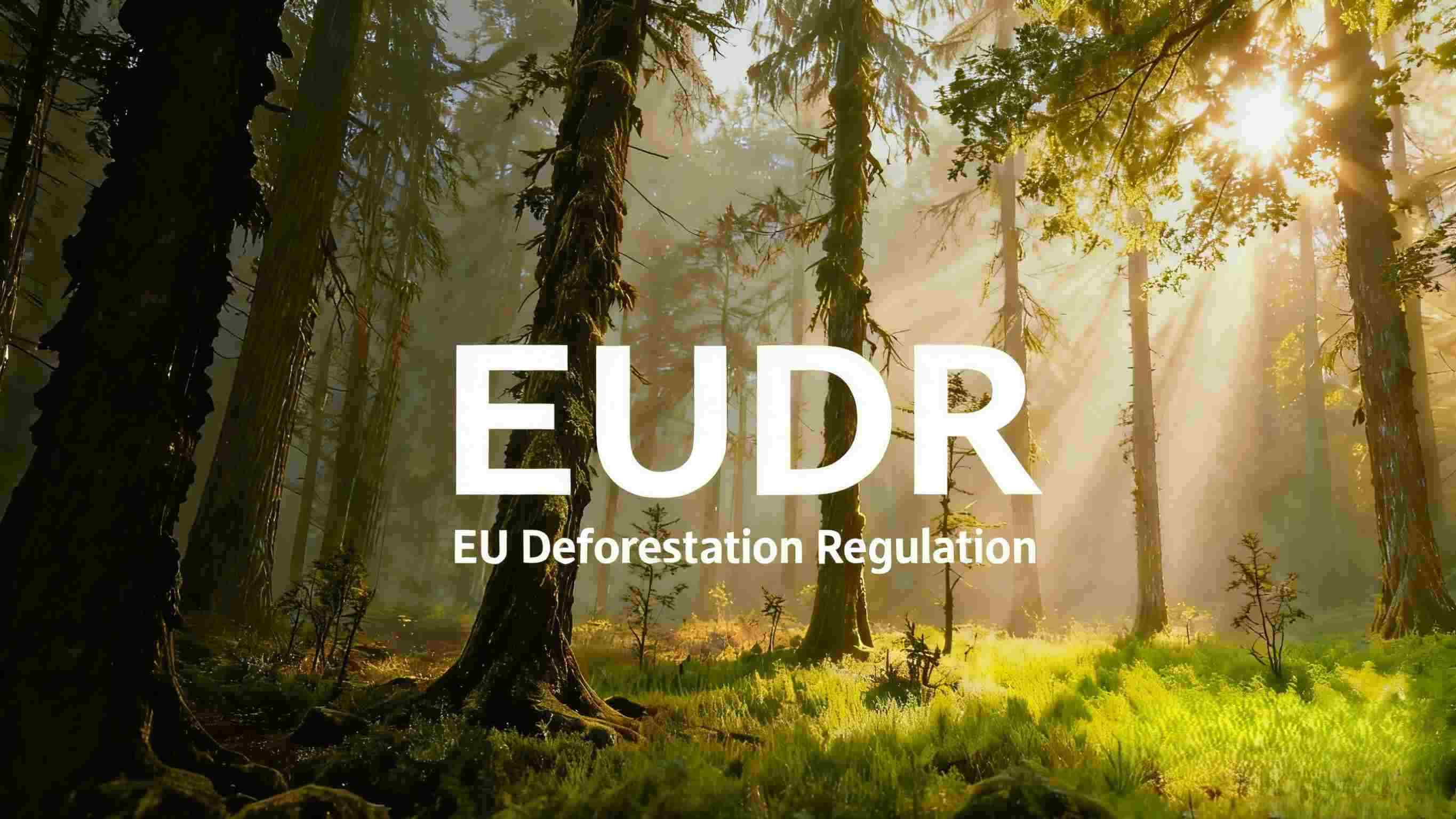 What Is SBTi? A Clear Guide to Science-Based Targets for Businesses ...